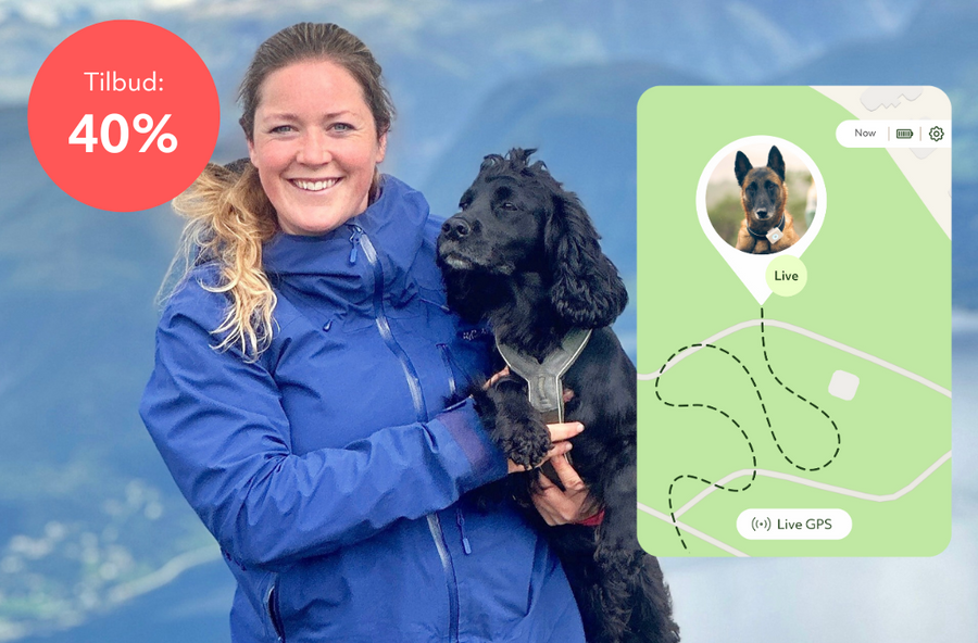 Lilidog – GPS tracker og aktivitets sporingsbrikke for hund og katt ...